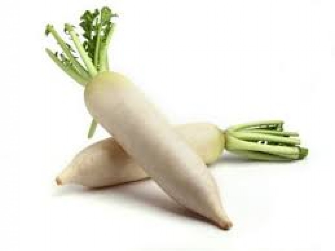 NABO DAIKON